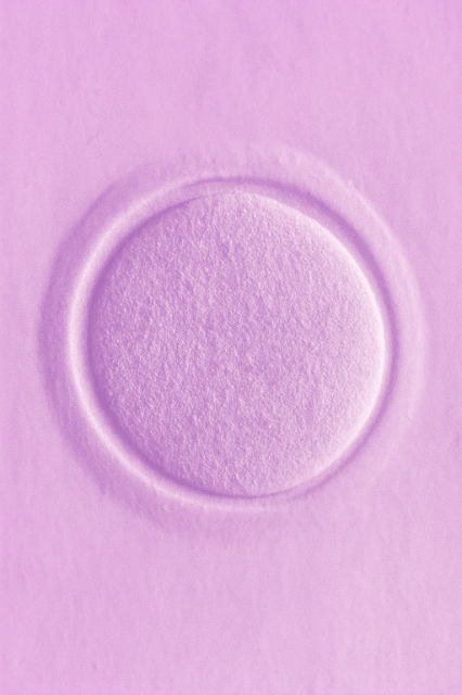 Fertility Storage for Patients | Generations CryoVault